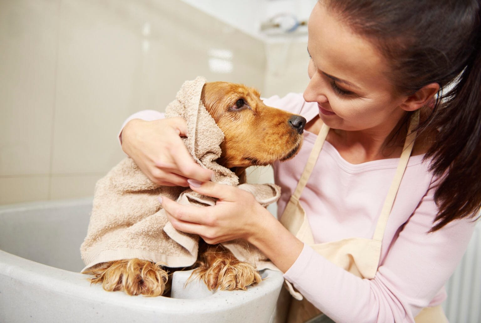 Cómo hacer el Grooming de tu perro en casa de forma segura